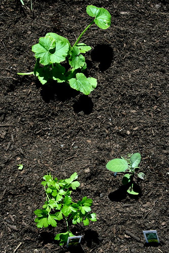 Muld on kuld! Miks me end mürgitame? - Toitumistarkus